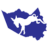 Harris County (TX) Democratic Party Endorsements